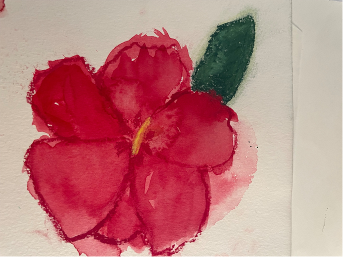 Red Hibiscus – Kim Bendheim